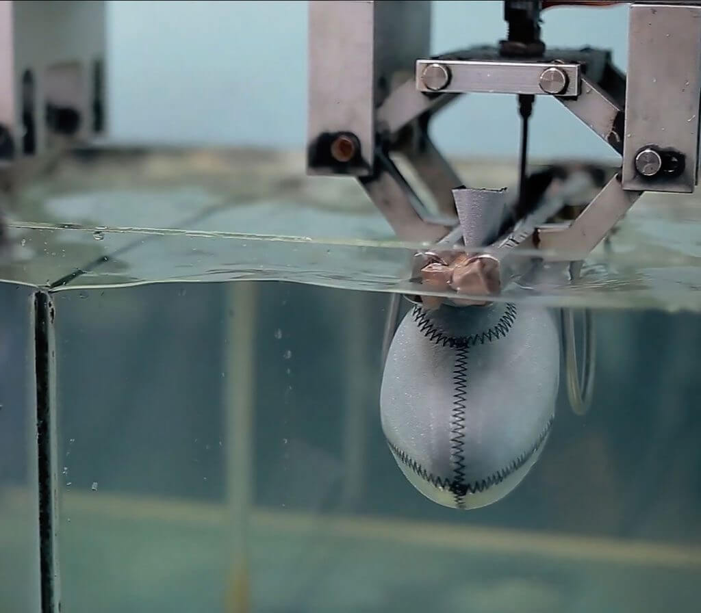 Home - Innolux Footwear